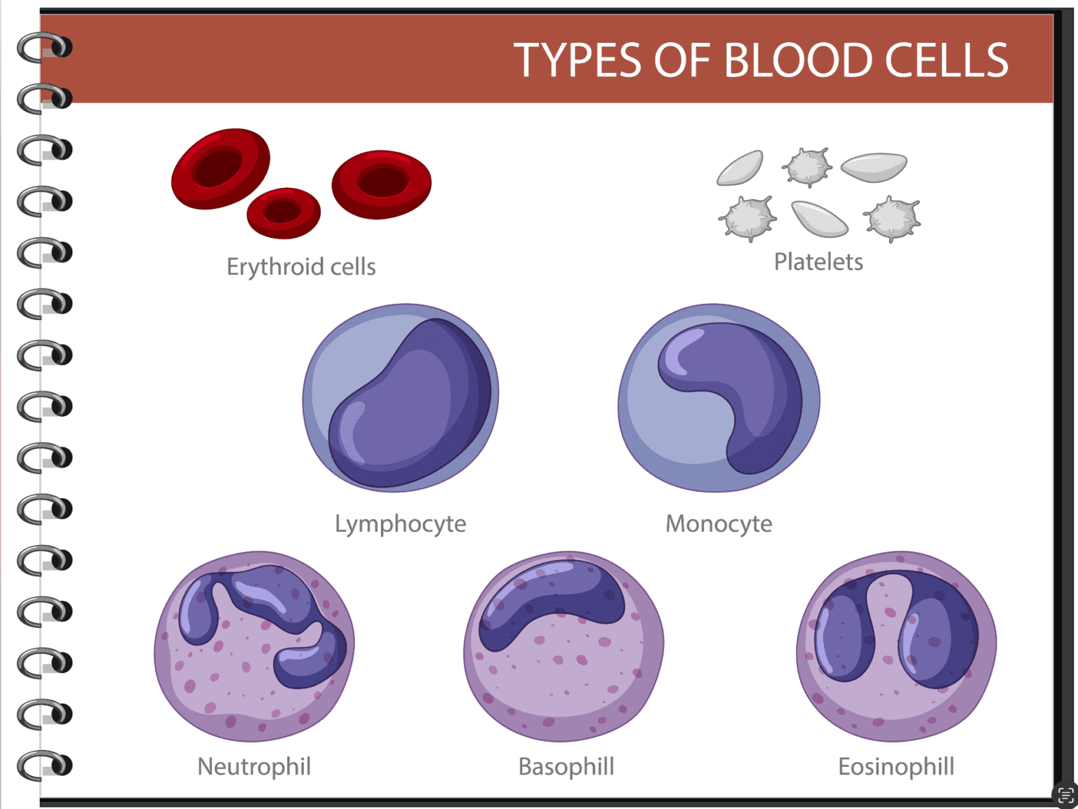 Laboratory Assessment in Hematology - Classical hematology