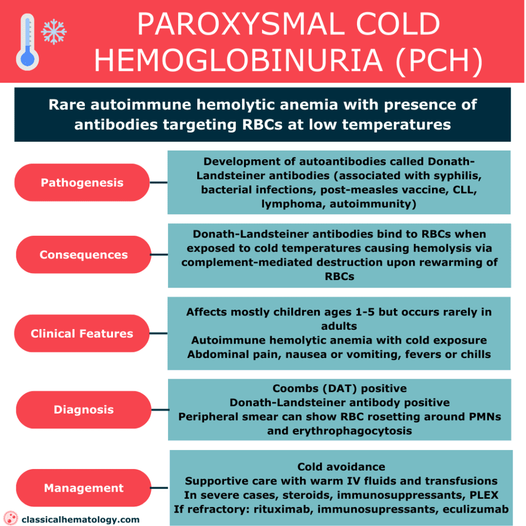 Disease Snapshots - Classical hematology