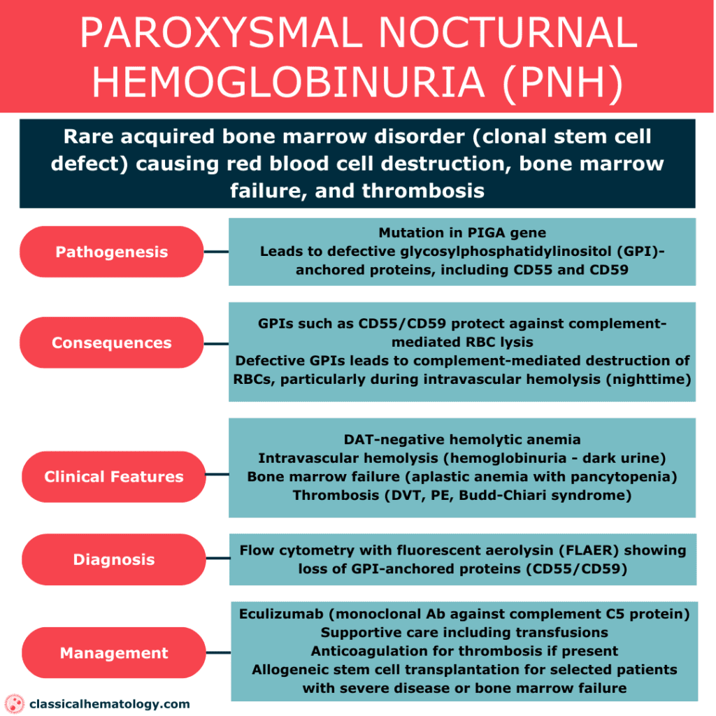 Disease Snapshots - Classical hematology