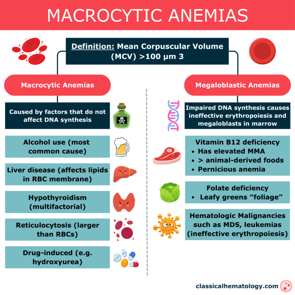 Causes and Classification of Anemias - Classical hematology