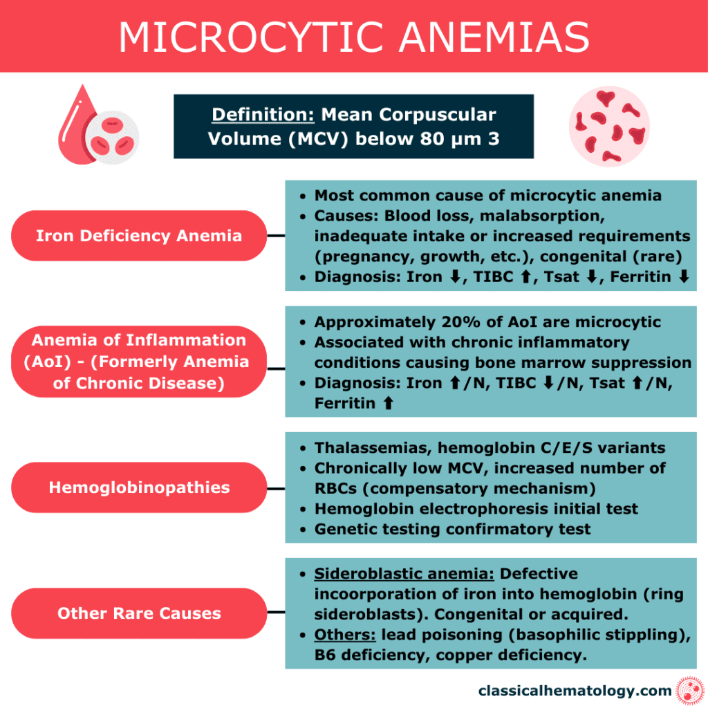 Causes and Classification of Anemias - Classical hematology