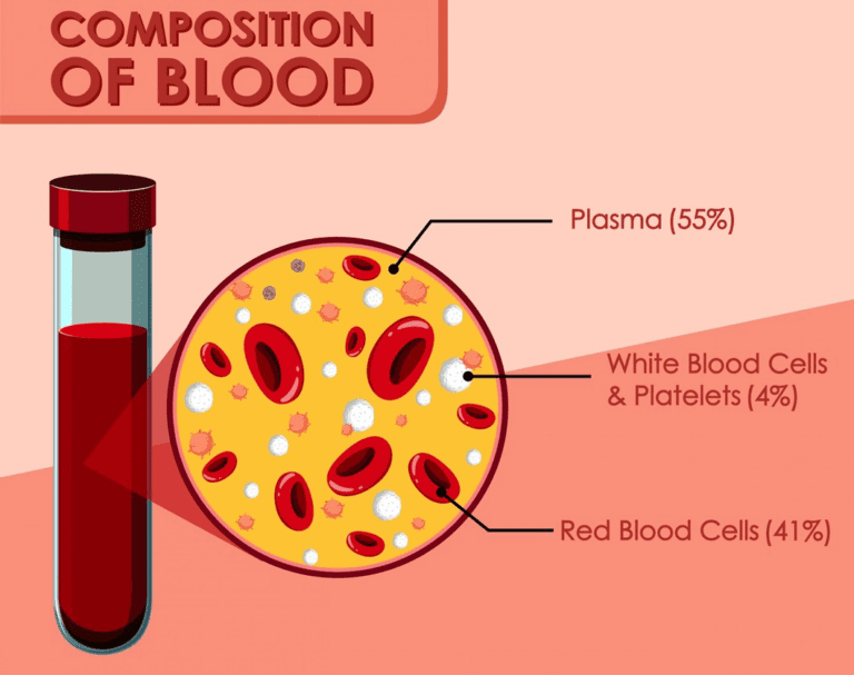 Overview of Red Blood Cells - Classical hematology