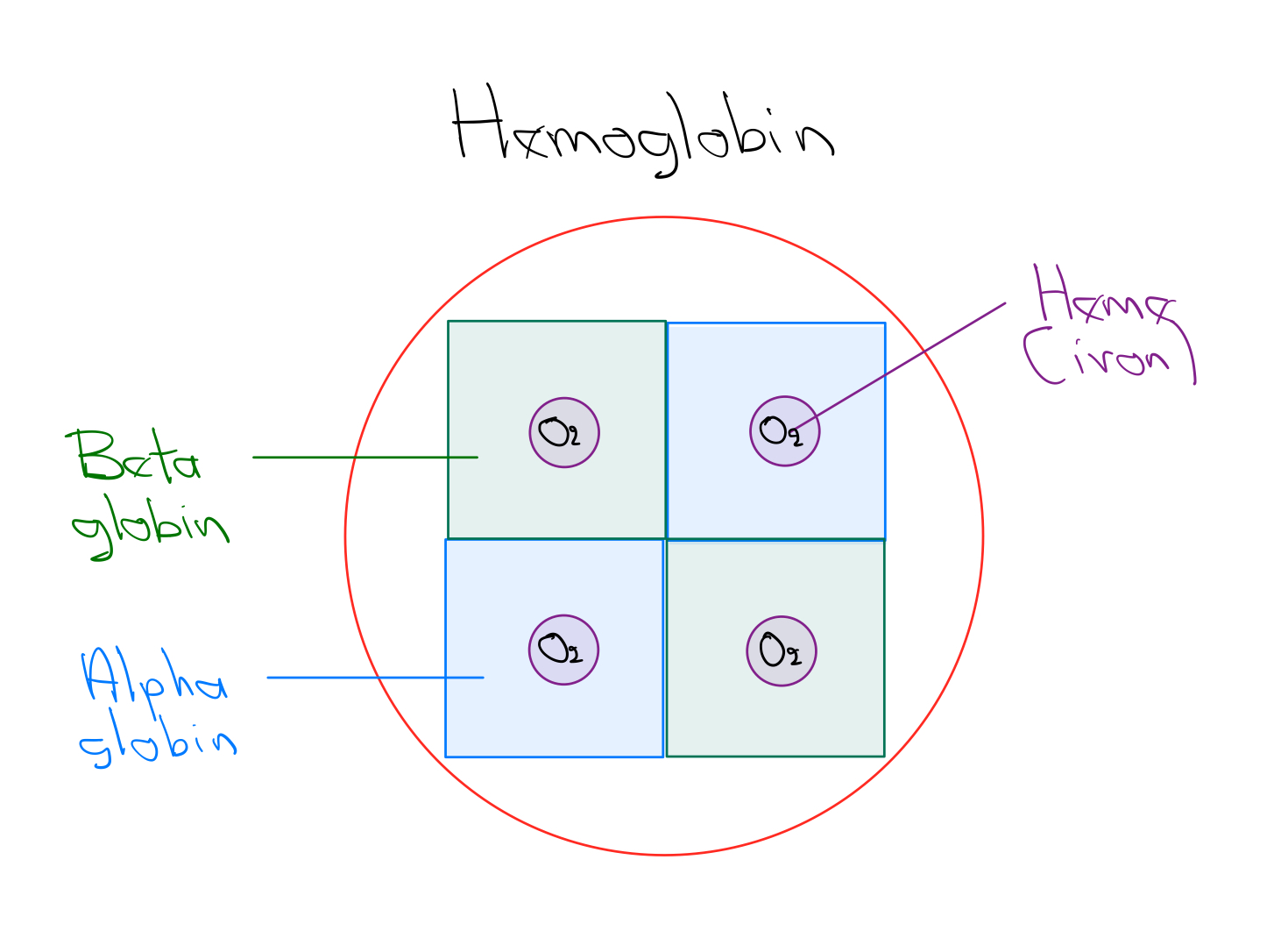 Overview of Thalassemias - Classical hematology